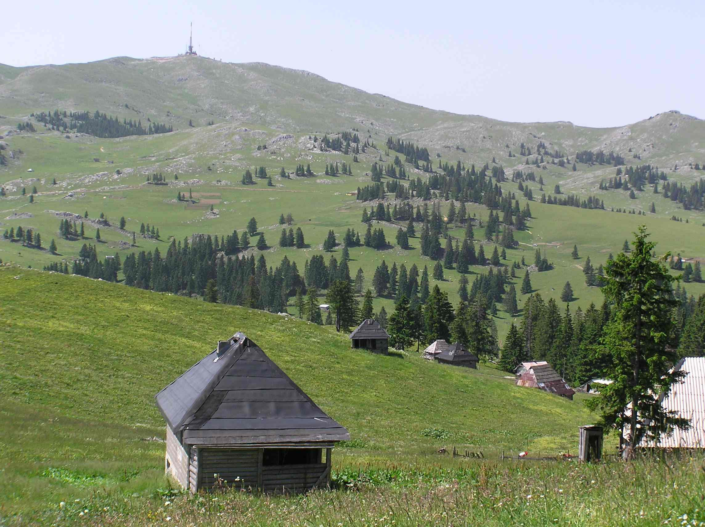 VLAŠIĆ: (BiH) Babanovac (1260 m) - Paljenik (1943m) - Planinarski klub ...
